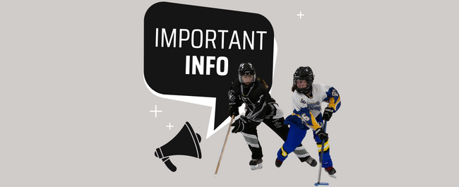 Ringette PEI : Website by RAMP InterActive